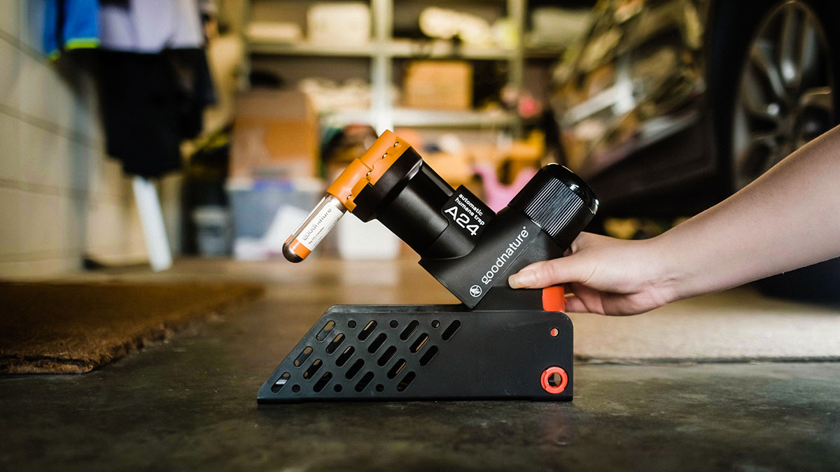 Sea - Digital Marketing & Content Production Studio.